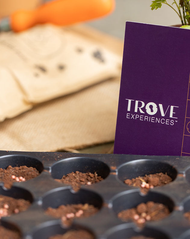 Trove Experiences | Virtual Urban Farming Workshops - Trove Experiences